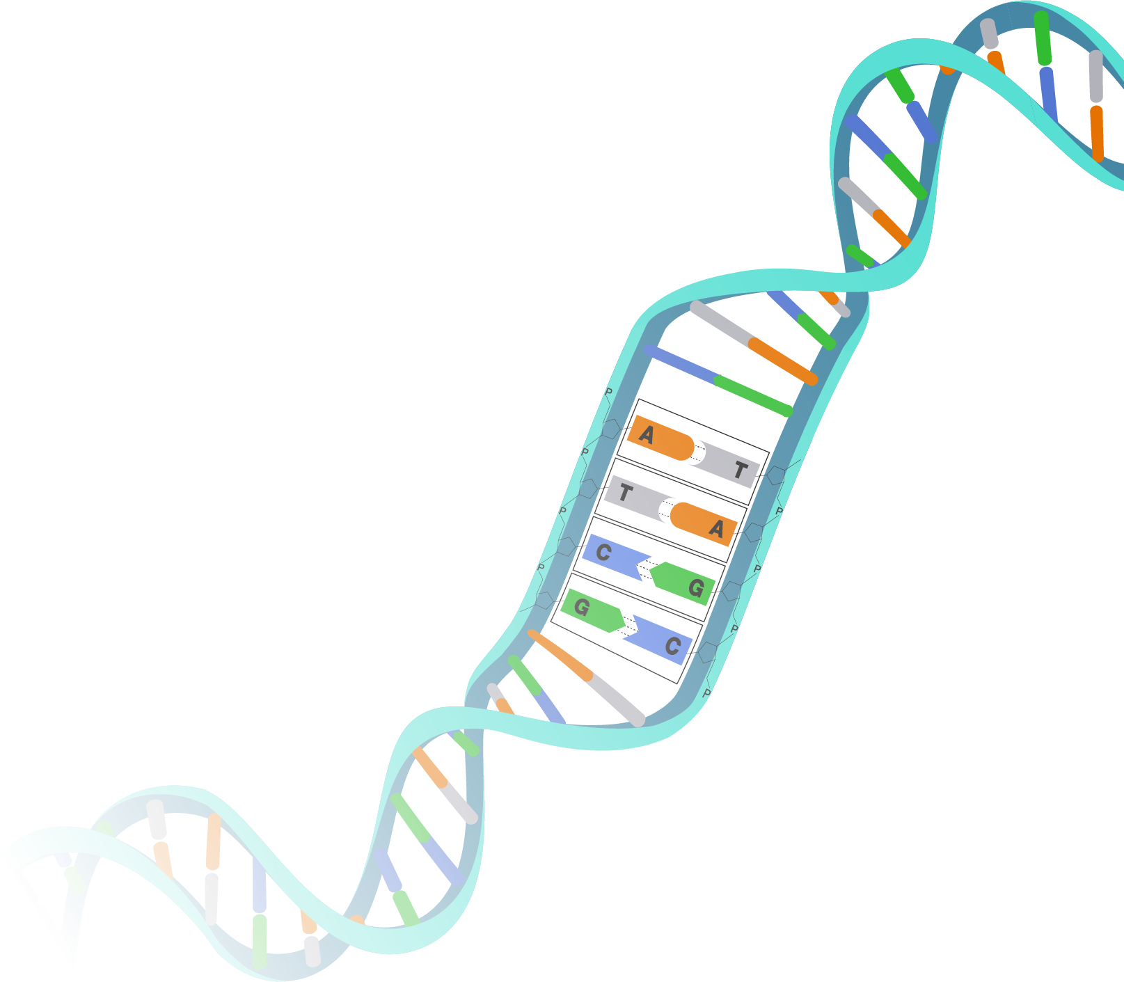 dental-dna-tests | Holistic Dental Arts | Biomimetic Dentistry